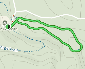 Kaimanawa Forest Loop Walk, Waikato, New Zealand - Map, Guide | AllTrails