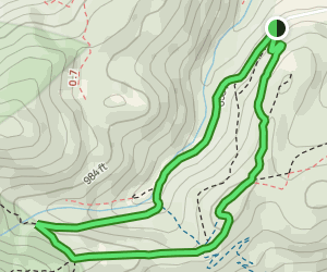 Brushy Creek Track Loop: 31 Fotos - Tasmanien, Australien | AllTrails