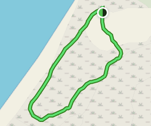 Lynn Haven Yellow Trail: 7 Reviews, Map - Florida | AllTrails