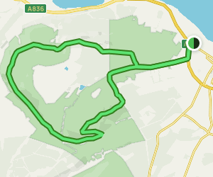 Tain and Morangie Forest Circular | Map, Guide - Highlands, Scotland ...
