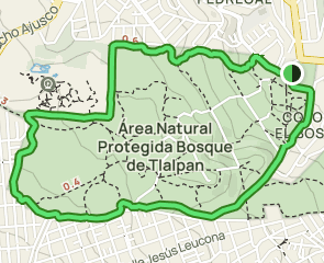Bosque de Tlalpan Big Loop: 104 Reviews, Map - Mexico City, Mexico ...