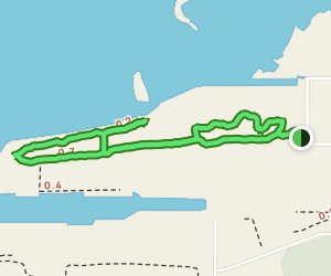 Red and Blue Loop: 31 Reviews, Map - Florida | AllTrails