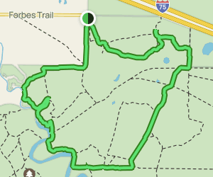 Deer Prairie Creek Loop | Map, Guide - Florida | AllTrails