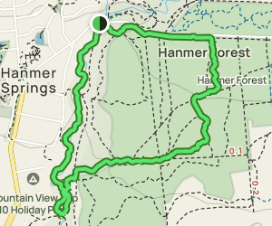 Hanmer Forest Loop Track: 38 Reviews, Map - Canterbury, New Zealand ...
