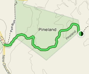Pineland Connector: 14 Reviews, Map - Maine | AllTrails