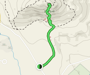 AllTrails | Bald Pate Mountain via Micah and Pate Trail: 135 Reviews ...