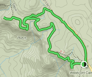 Bunya Mountains Cherry Plains Circuit: 30 Reviews, Map - Queensland ...