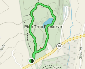Pine Tree Preserve Loop, Maine - 50 Reviews, Map | AllTrails