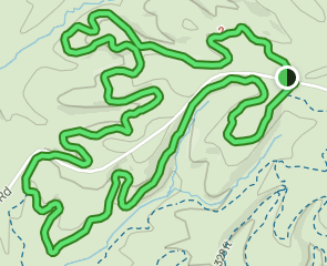 Deep Step Loop, South Carolina - 228 Reviews, Map | AllTrails