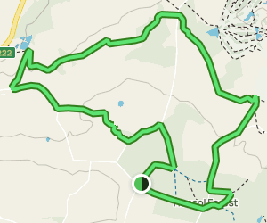 Hensol Forest and Coed Wern Fawr Circular - Rhondda, Wales | AllTrails