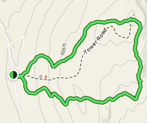 Tower and Blueberry Trail: 671 Reviews, Map - Maine | AllTrails