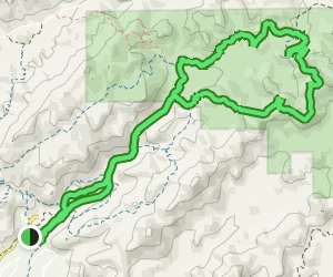 Wild Burro, Loop and Ridgeline Trail: 86 Reviews, Map - Arizona | AllTrails