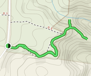 Boomerang Falls: 20 Reviews, Map - New South Wales, Australia | AllTrails