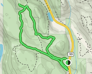 High, Tantalus View and Alder Trails Loop: 27 Reviews, Map - British ...