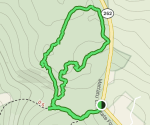 Whitestone Cliffs Trail: 501 Reviews, Map - Connecticut | AllTrails