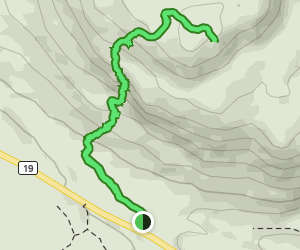 Campbell River Lookout Trail: 239 Reviews, Map - British Columbia ...