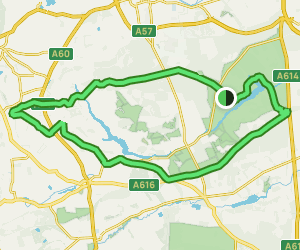 Creswell Crags and Clumber Park Circular: 61 Reviews, Map ...