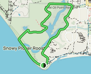 Coal Oil Point Reserve Tour, California - 123 Reviews, Map | AllTrails