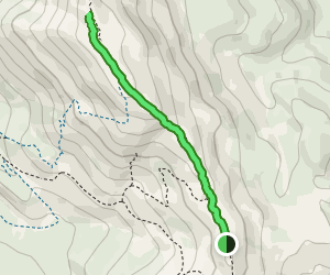 Grey Mountain Trail: 97 Reviews, Map - Yukon, Canada | AllTrails