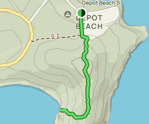 Burrawang Walking Track: 7 Reviews, Map - New South Wales, Australia ...