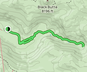 Indian Pools Trail: 533 Reviews, Map - California | AllTrails