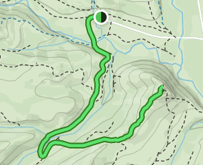 Cheese Rock Trail, Washington - 261 Reviews, Map | AllTrails