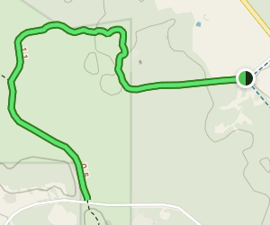 AllTrails | Wildwood Interpretive Forest via Bob Webb Trail: 30 Reviews ...