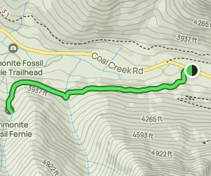 Ammonite Fossil via Coal Creek: 107 Reviews, Map - British Columbia, Canada | AllTrails