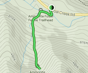 Ammonite Fossil: Direct Trail: 23 Reviews, Map - British Columbia, Canada | AllTrails