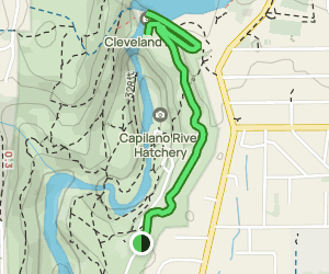 Cleveland Dam and Capilano Lake Lookout: 294 Reviews, Map - British ...