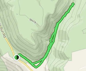 Jacoby Falls Trail: 474 Reviews, Map - Pennsylvania | AllTrails