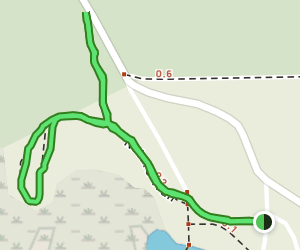 Faver-Dykes Nature Trail: 38 Reviews, Map - Florida | AllTrails