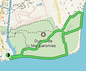 Maspalomas Pond - Dunes of Maspalomas - Playa del Inglés | Mappa, Guida ...