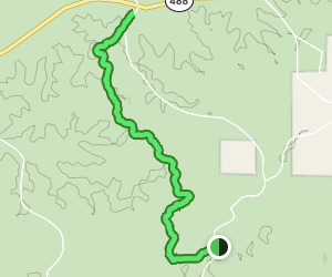 Wild Azalea Trail: Segment 4: 81 Reviews, Map - Louisiana | AllTrails