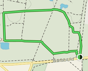 Bramshill Plantation Short Circular, Hampshire, England - 33 Reviews ...