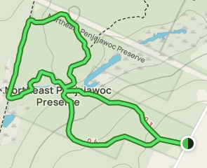 Cattail Marsh and Wood Frog Trail Loop: 138 Reviews, Map - Maine ...