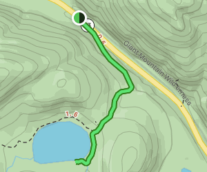 Round Pond via Dix Trail: 40 Reviews, Map - New York | AllTrails