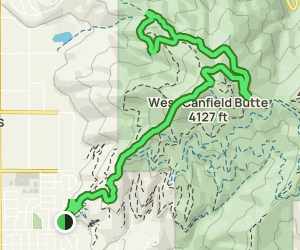 Big Trees Trail: 326 Reviews, Map - Idaho | AllTrails