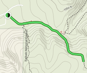 Clover Springs Trail: 43 Reviews, Map - Arizona | AllTrails