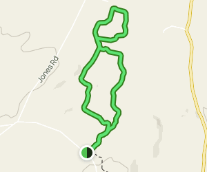 AllTrails | Katie's Way and Lean-to-Loop: 33 Reviews, Map - Maine