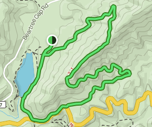 Straight Mountain and Beartree Lake Trail Loop: 11 Reviews, Map ...