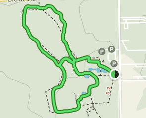 Heartland Forest Trail, Ontario, Canada - 86 Reviews, Map | AllTrails