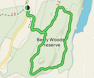 Wilson Trail | Map, Guide - Maine | AllTrails