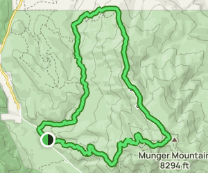 Munger Mountain Loop: 15 Reviews, Map - Wyoming | AllTrails