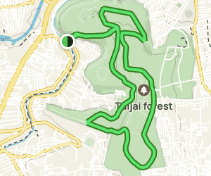 Taljai Hike: 35 Reviews, Map - Maharashtra, India | AllTrails