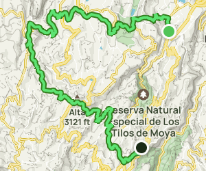 Moya - Montaña Alta - Barranco del Laurel - El Tablero: 1 Reviews, Map ...
