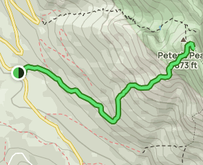 Mount Arrowsmith via Judges Route, British Columbia, Canada - 433 ...