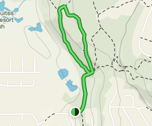 Coho Park and 4 Play Loop: 20 Reviews, Map - British Columbia, Canada ...