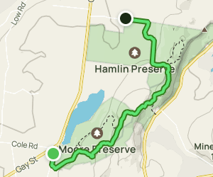 Red Mountain Trail: 21 Reviews, Map - Connecticut | AllTrails