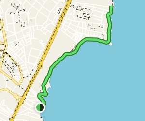 Playa de Calla Estacas - Playa Flamenca - Playa Punta Prima: 23 Reviews ...